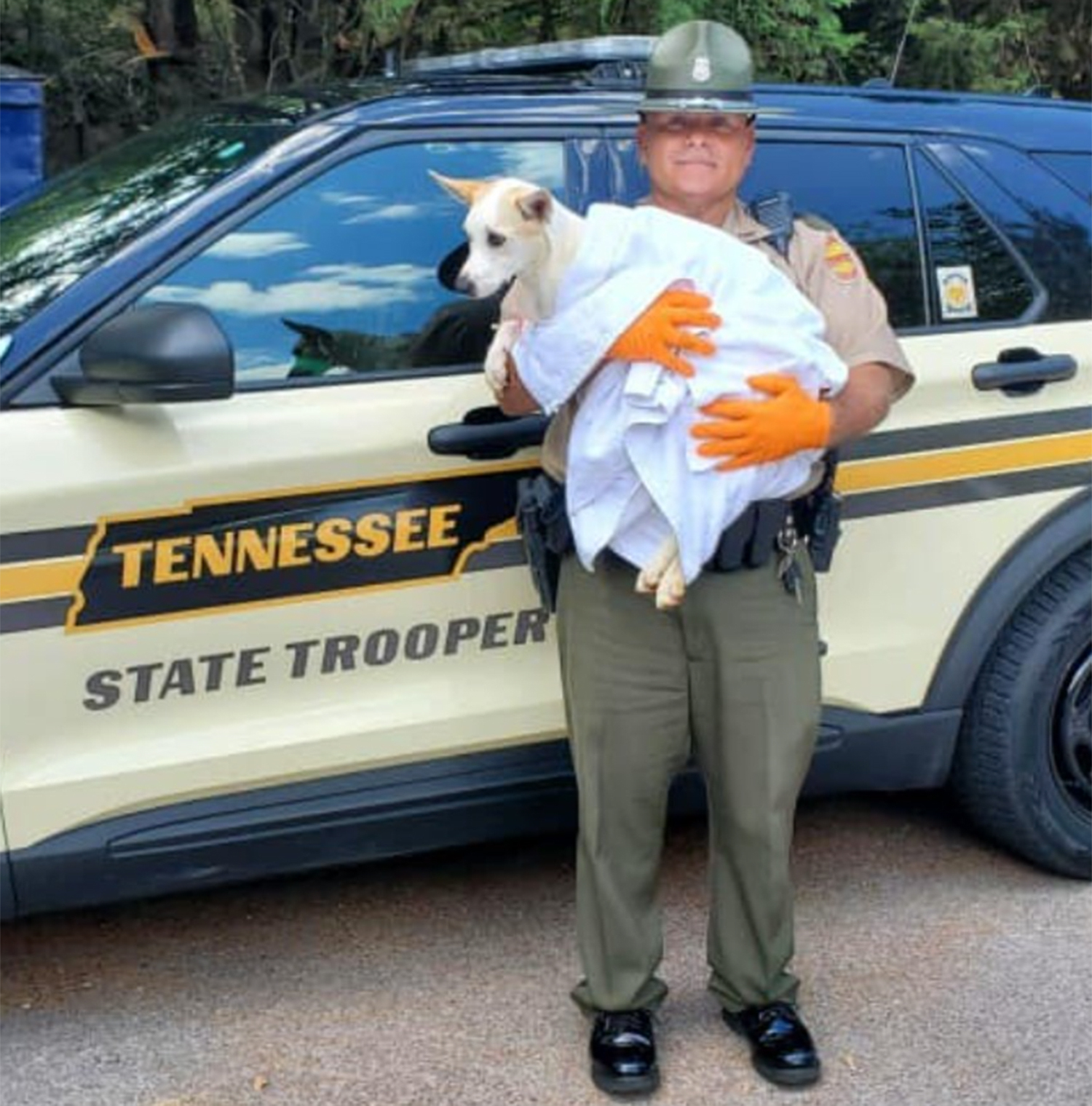 A Tennessee state trooper who saved a dog from extreme heat gives the ...