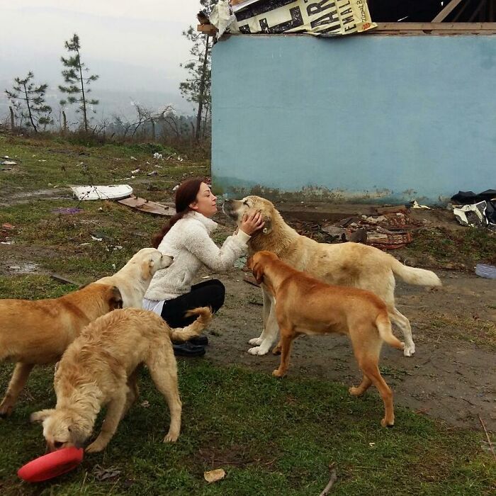 Story Of A Lady Who Traveled Daily To See Homeless Dogs!