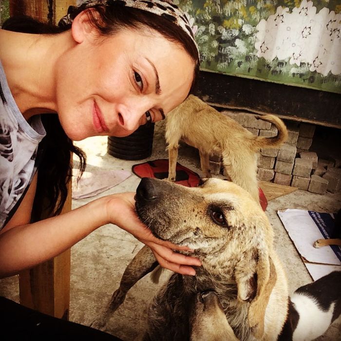 Story Of A Lady Who Traveled Daily To See Homeless Dogs!